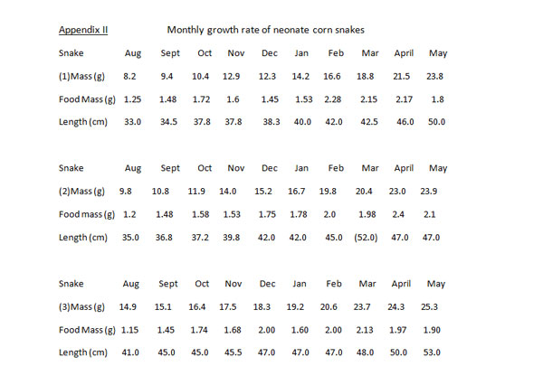 Corn Snake Size Chart